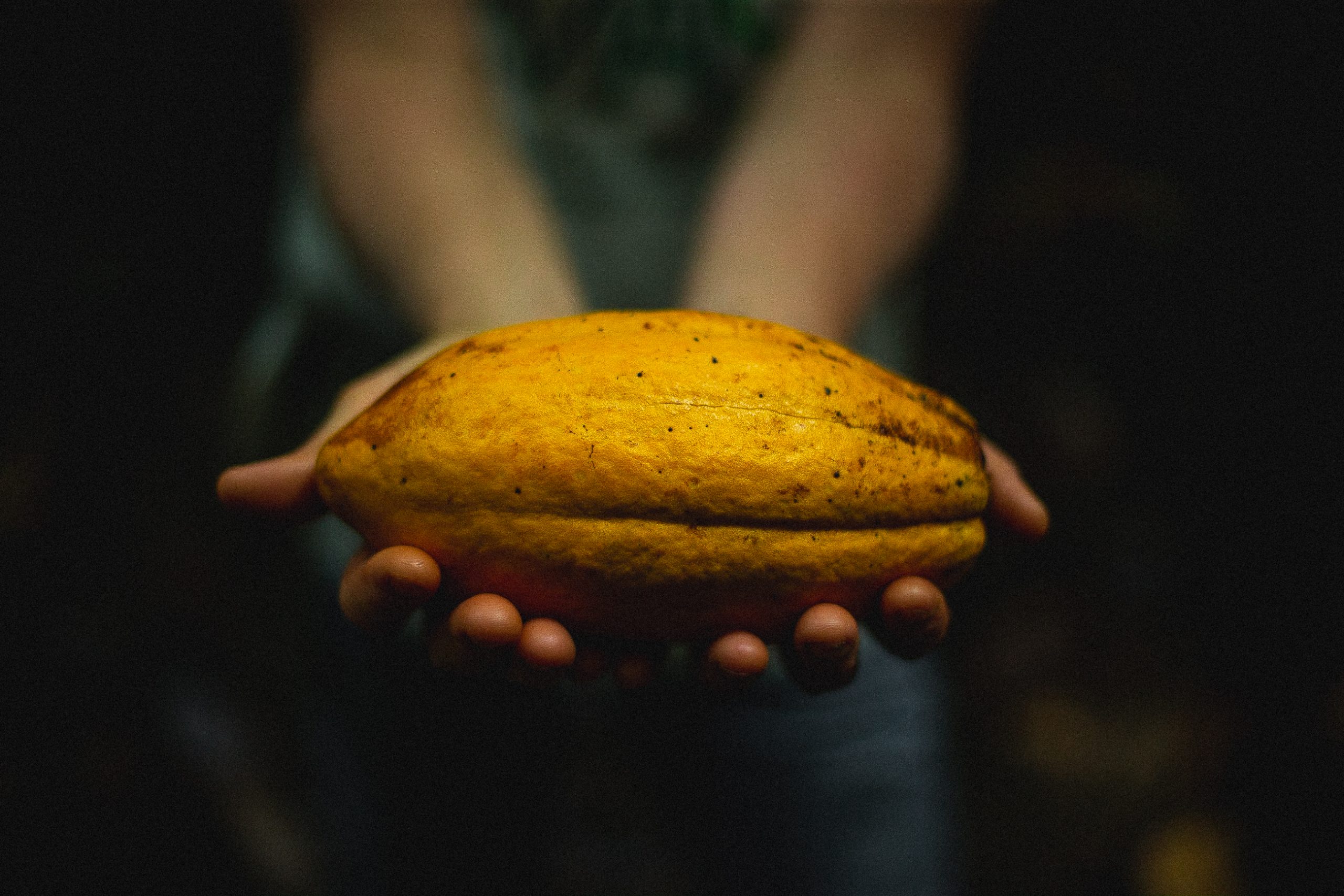 Startseite - Kakaw.Network